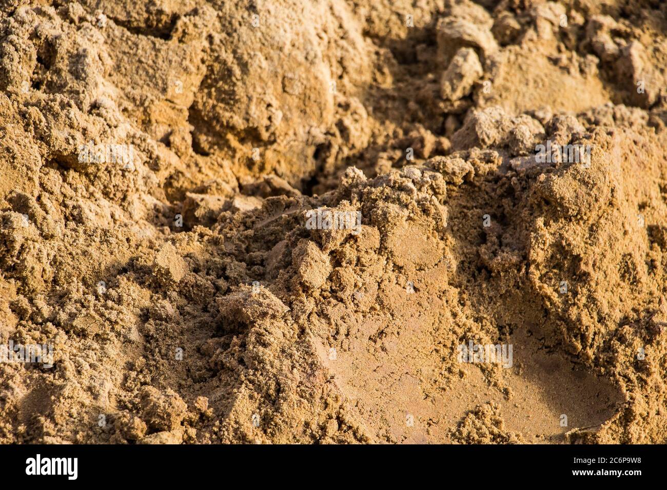Background from building yellow sand close up. Use for design Stock ...