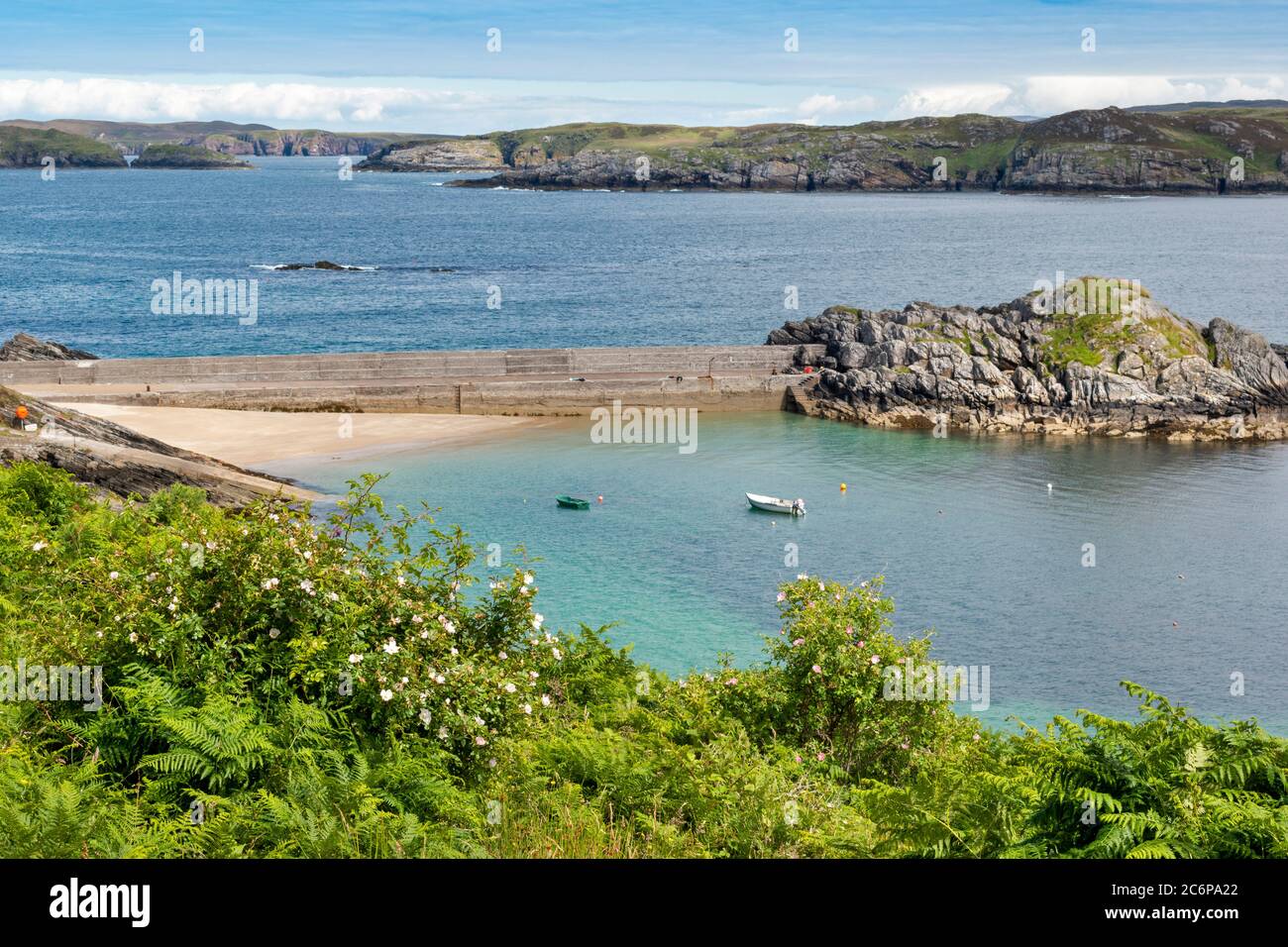 Rose bay jetty hi-res stock photography and images - Alamy