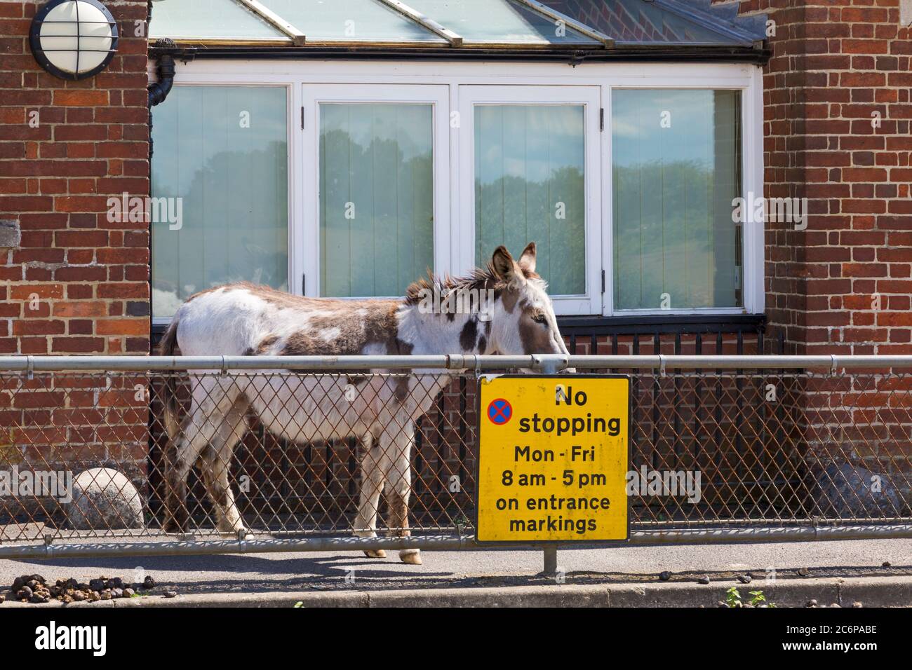 Hyde ce primary school hi-res stock photography and images - Alamy