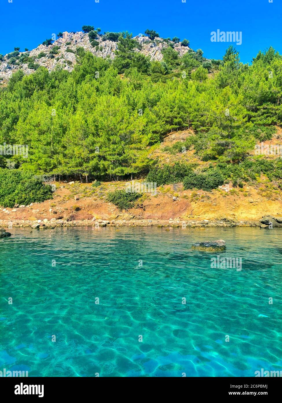 beautiful turquoise color sea and tree area Stock Photo - Alamy
