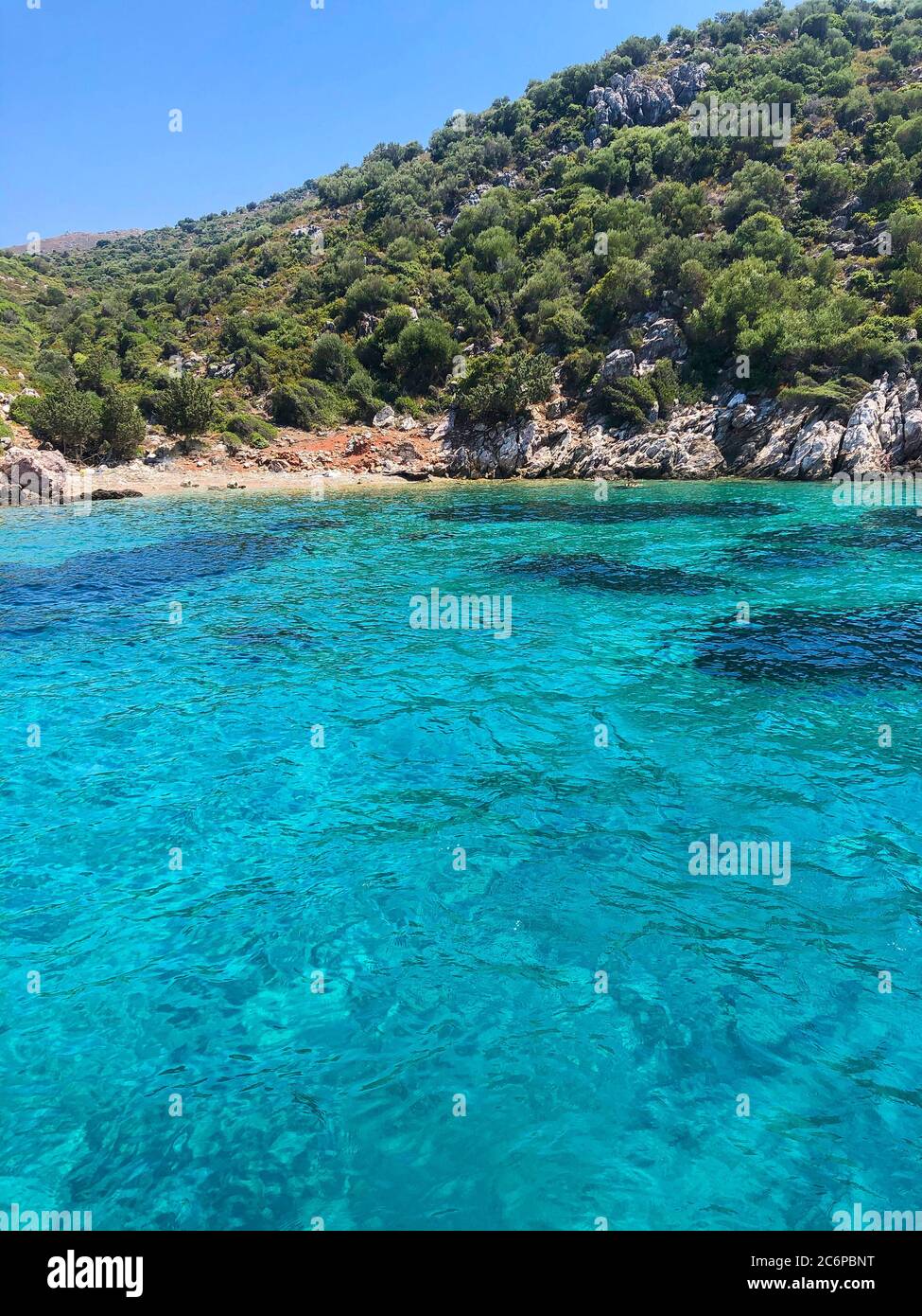 beautiful turquoise color sea and tree area Stock Photo - Alamy