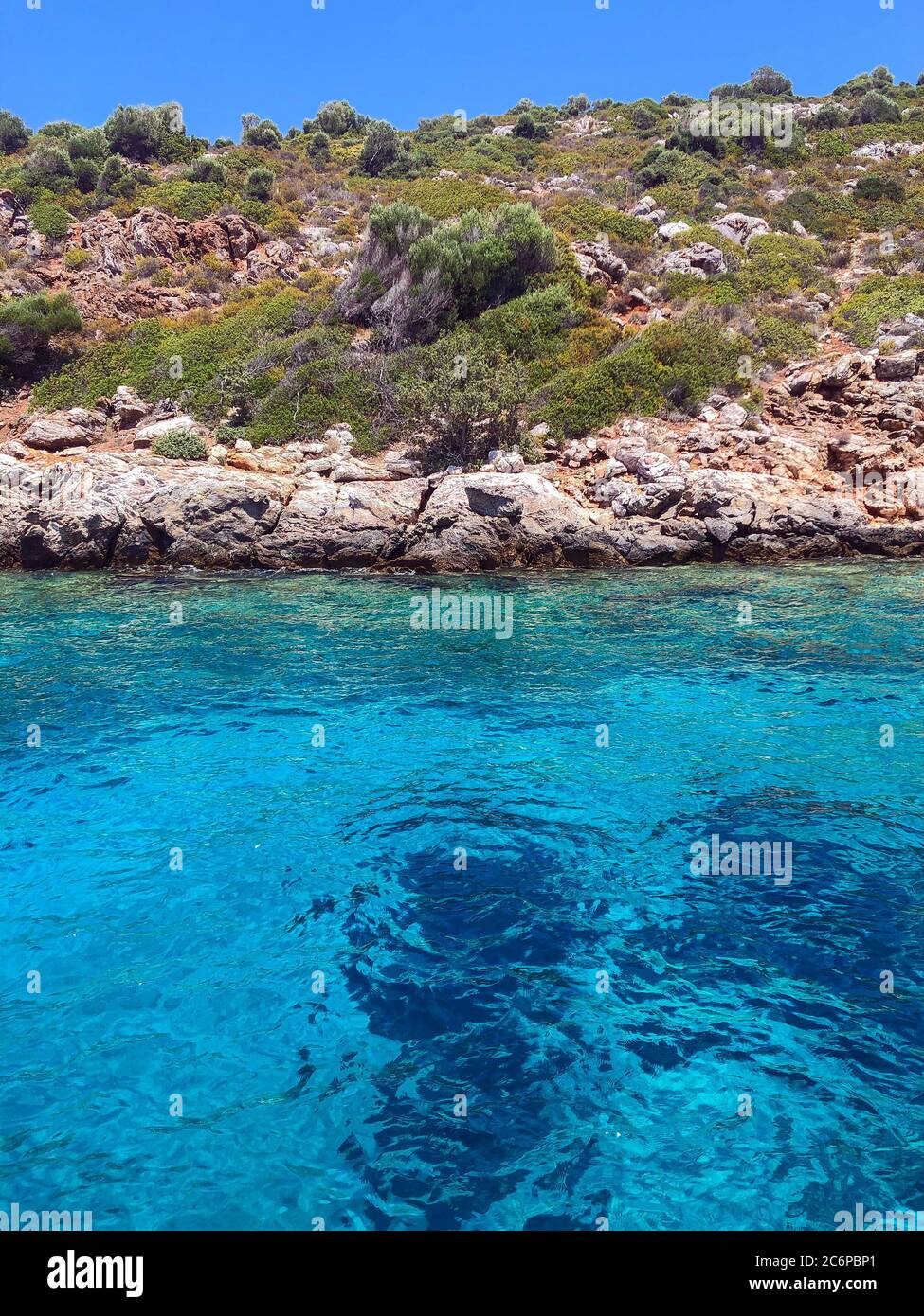 beautiful turquoise color sea and tree area Stock Photo - Alamy