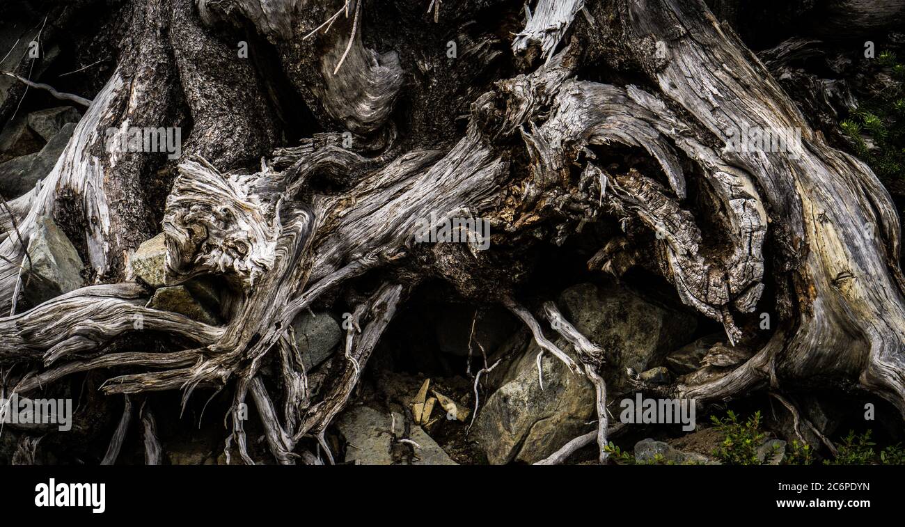 Moody texture hi-res stock photography and images - Alamy