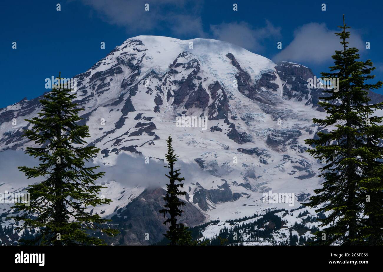 Mt. Rainier looms above the trees with blue sky and a few clouds in the ...