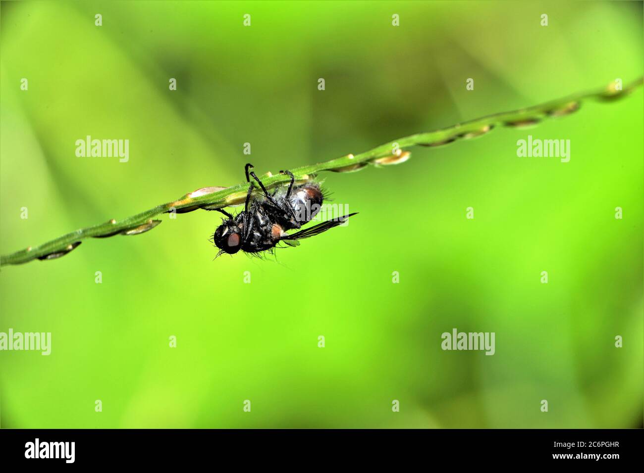 Crawling down and up hi-res stock photography and images - Alamy