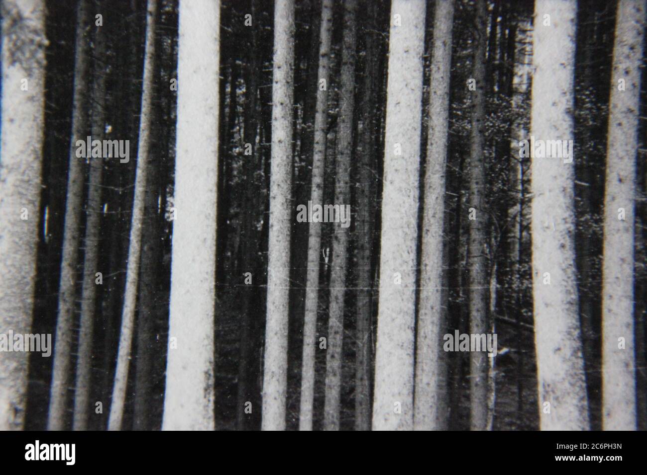 Fine 70s vintage black and white lifestyle photography of a deep dark ...