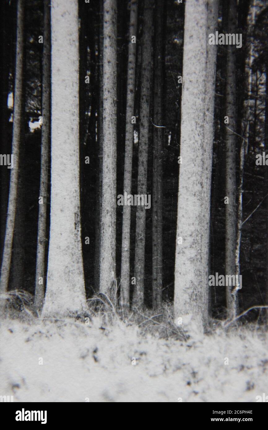 Fine 70s vintage black and white lifestyle photography of a deep dark ...