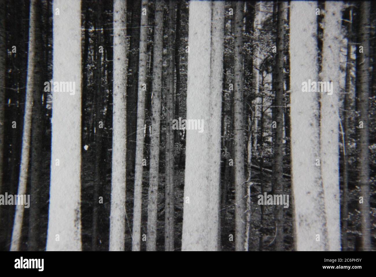 Fine 70s vintage black and white lifestyle photography of a deep dark ...