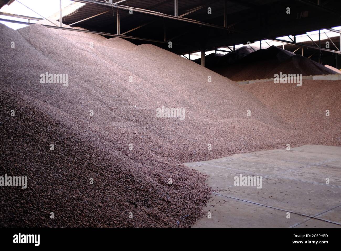 Raw material cocoa hi-res stock photography and images - Alamy