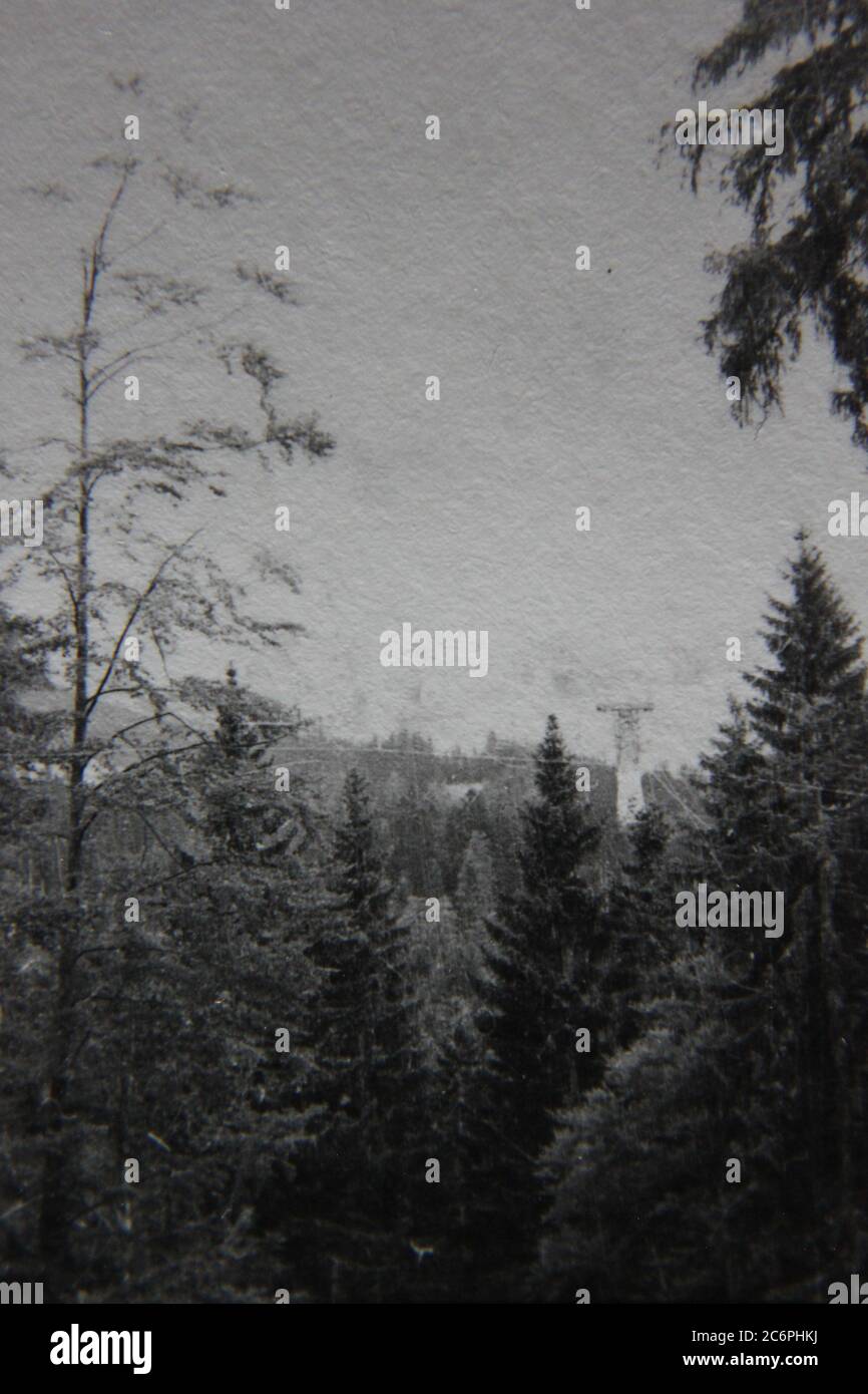 Fine 70s vintage black and white lifestyle photography of the beautiful ...