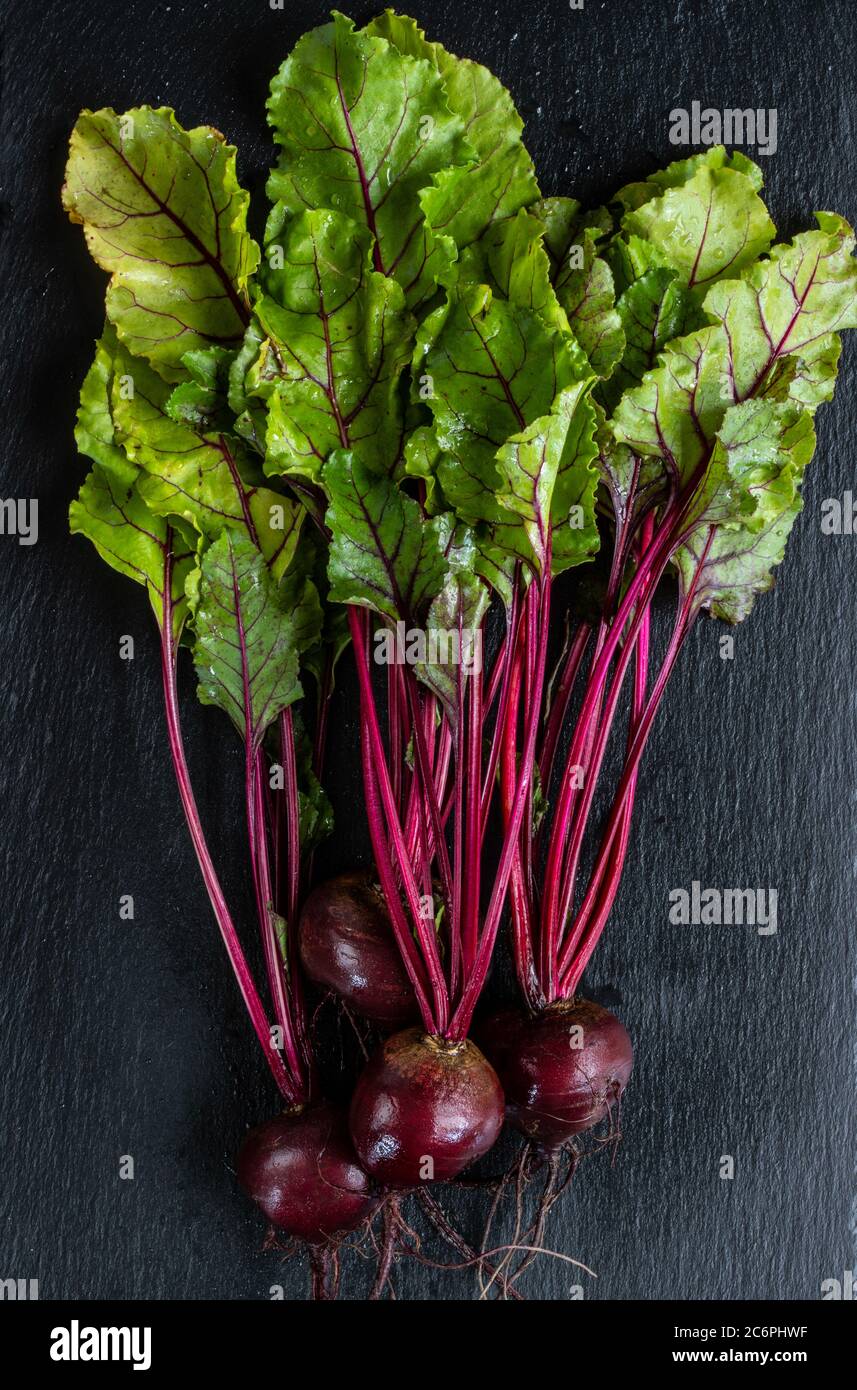 beetroot on black background Stock Photo - Alamy