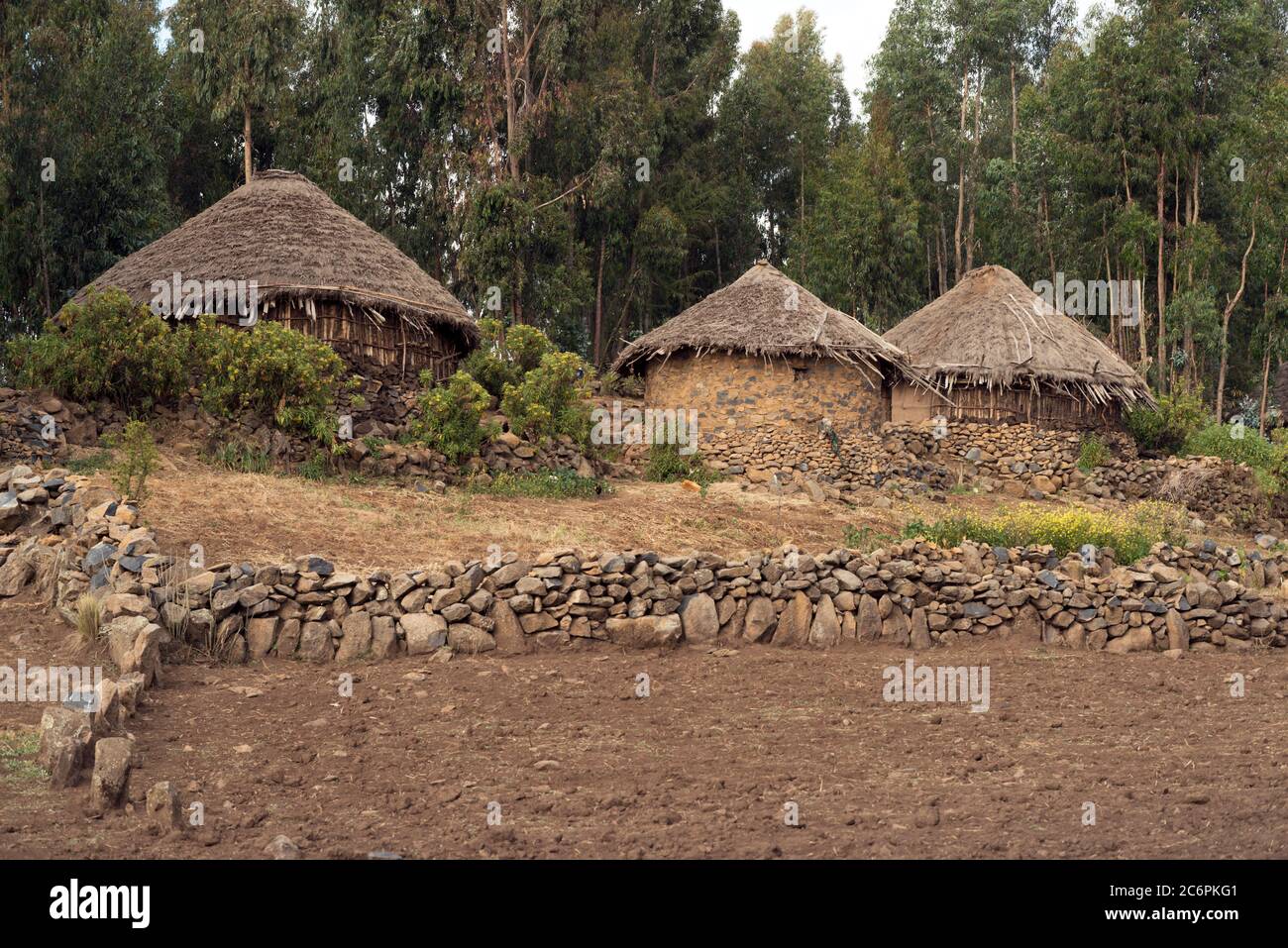 Tigrinya tribe hi-res stock photography and images - Alamy