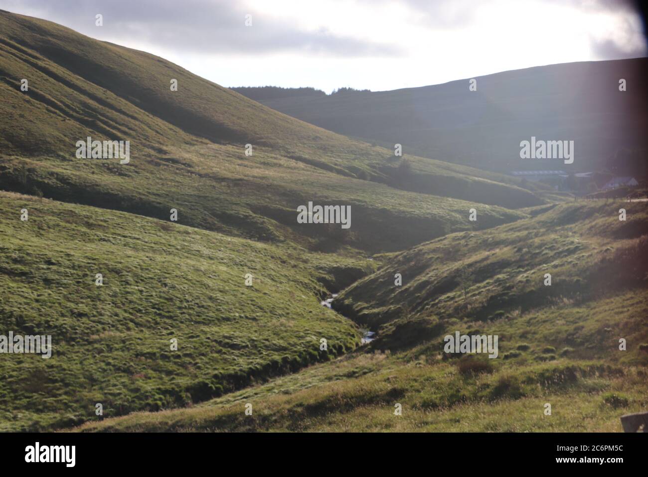 Green pasture stream trees hi-res stock photography and images - Alamy