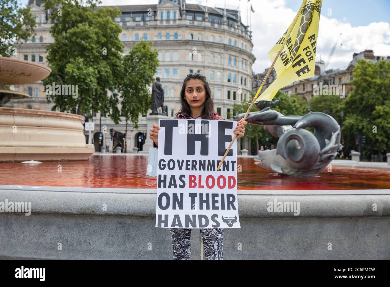 Westminster, 11 July 2020. London, UK. Animal Rebellion activists ...
