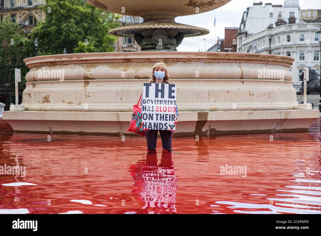 Westminster, 11 July 2020. London, UK. Animal Rebellion activists ...
