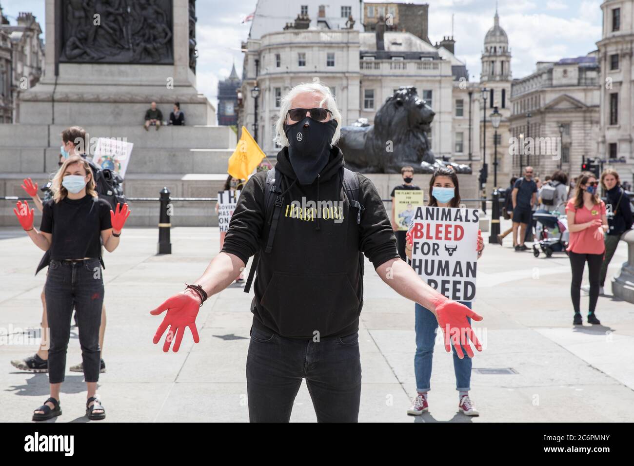 Westminster, 11 July 2020. London, UK. Animal Rebellion activists ...