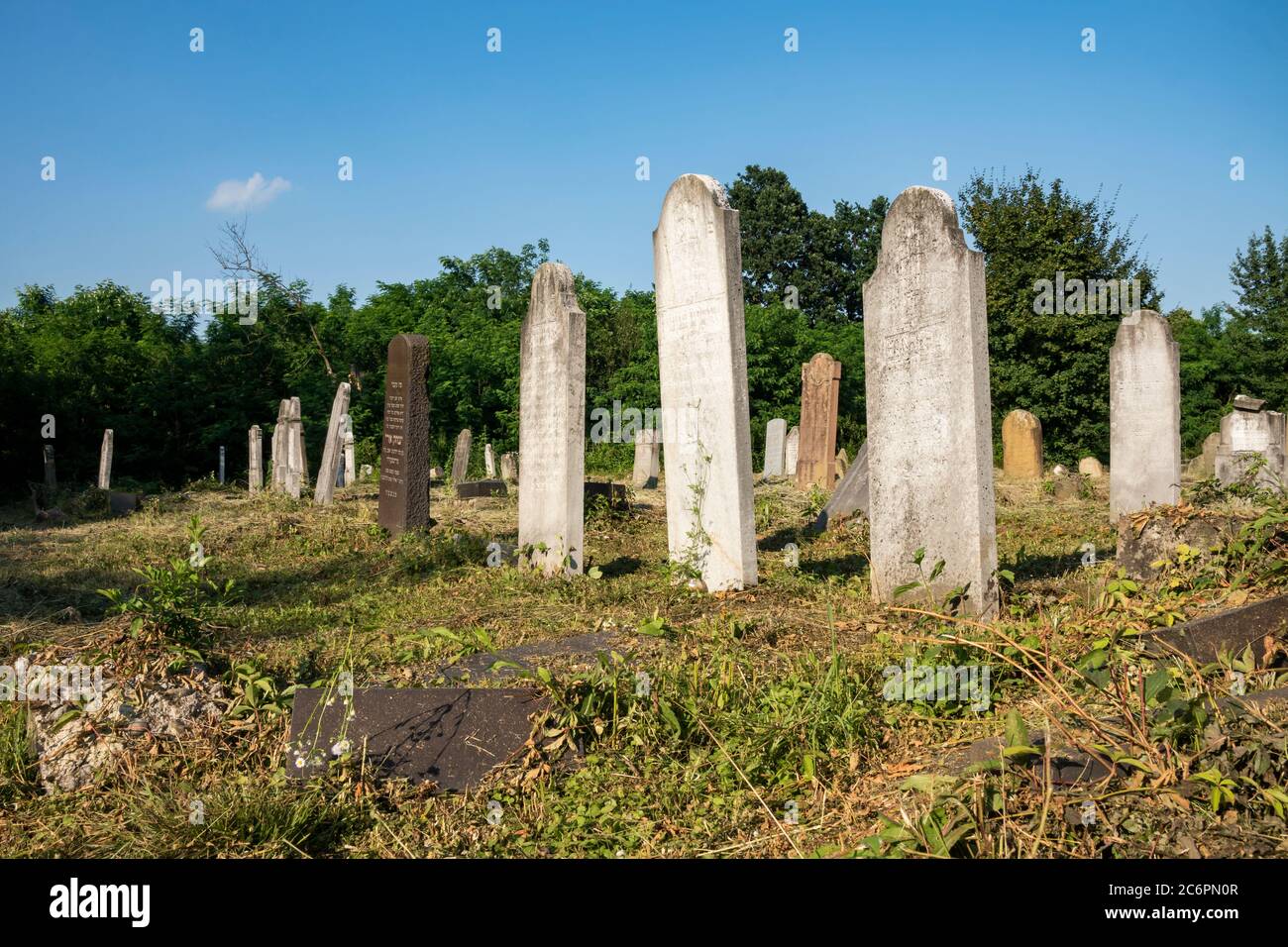 Old neglected Jewish cemetery in Eastern Slovakia. Europe Stock Photo ...