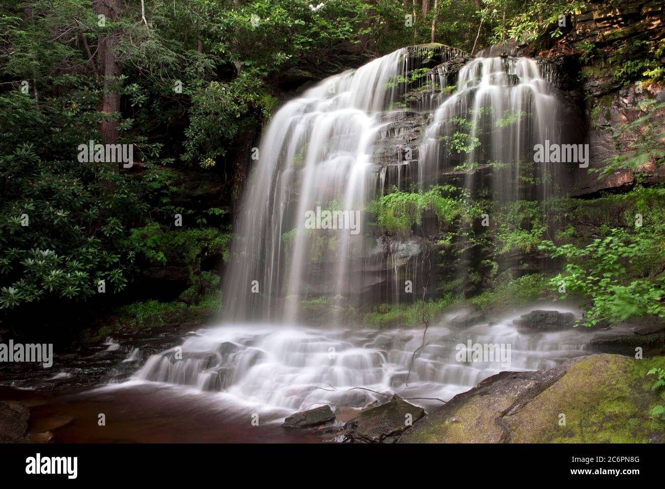 Mullet Falls along Mullet Creek in the Neversink River Unique Area in ...