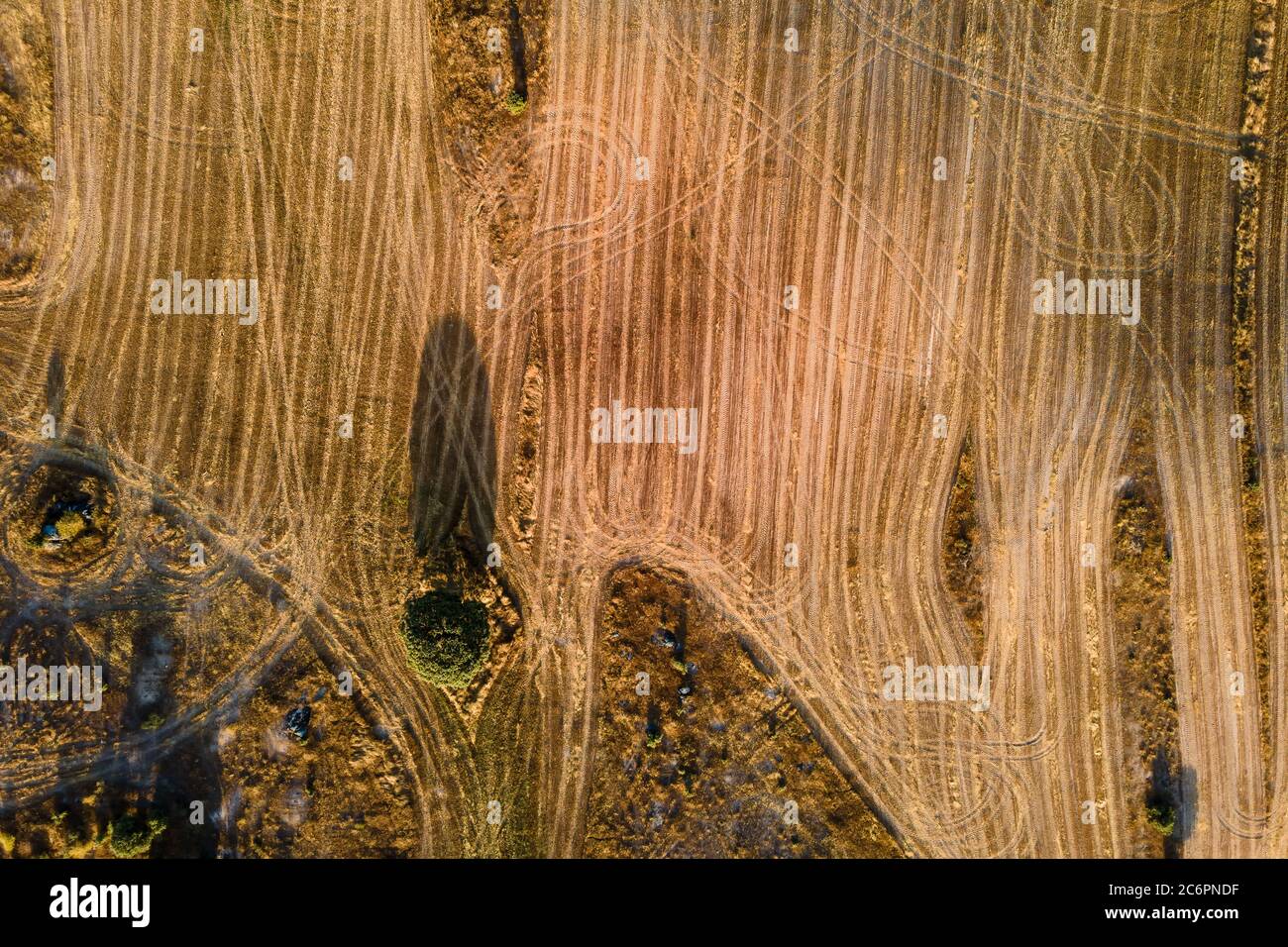 Landscape with sowing field near Malpartida de Caceres Stock Photo - Alamy