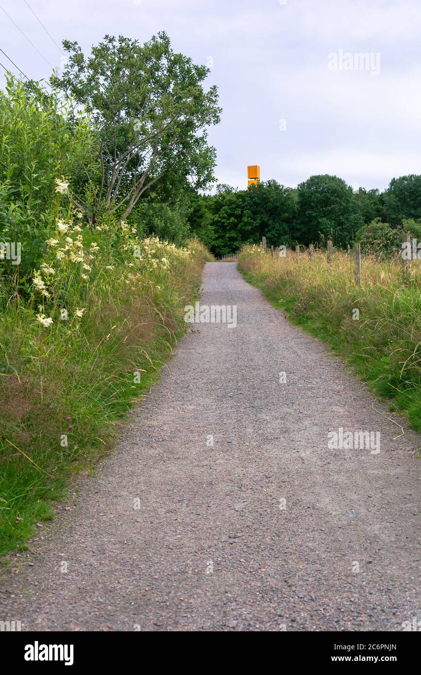 Vertical composition of pathway with green grass and fresh flowers in ...