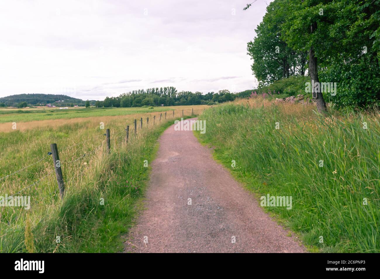Horizontal composition of pathway with green grass and wooden fence in ...