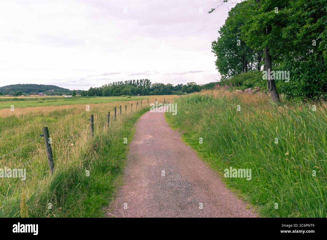 Horizontal composition of pathway with green grass and wooden fence in ...