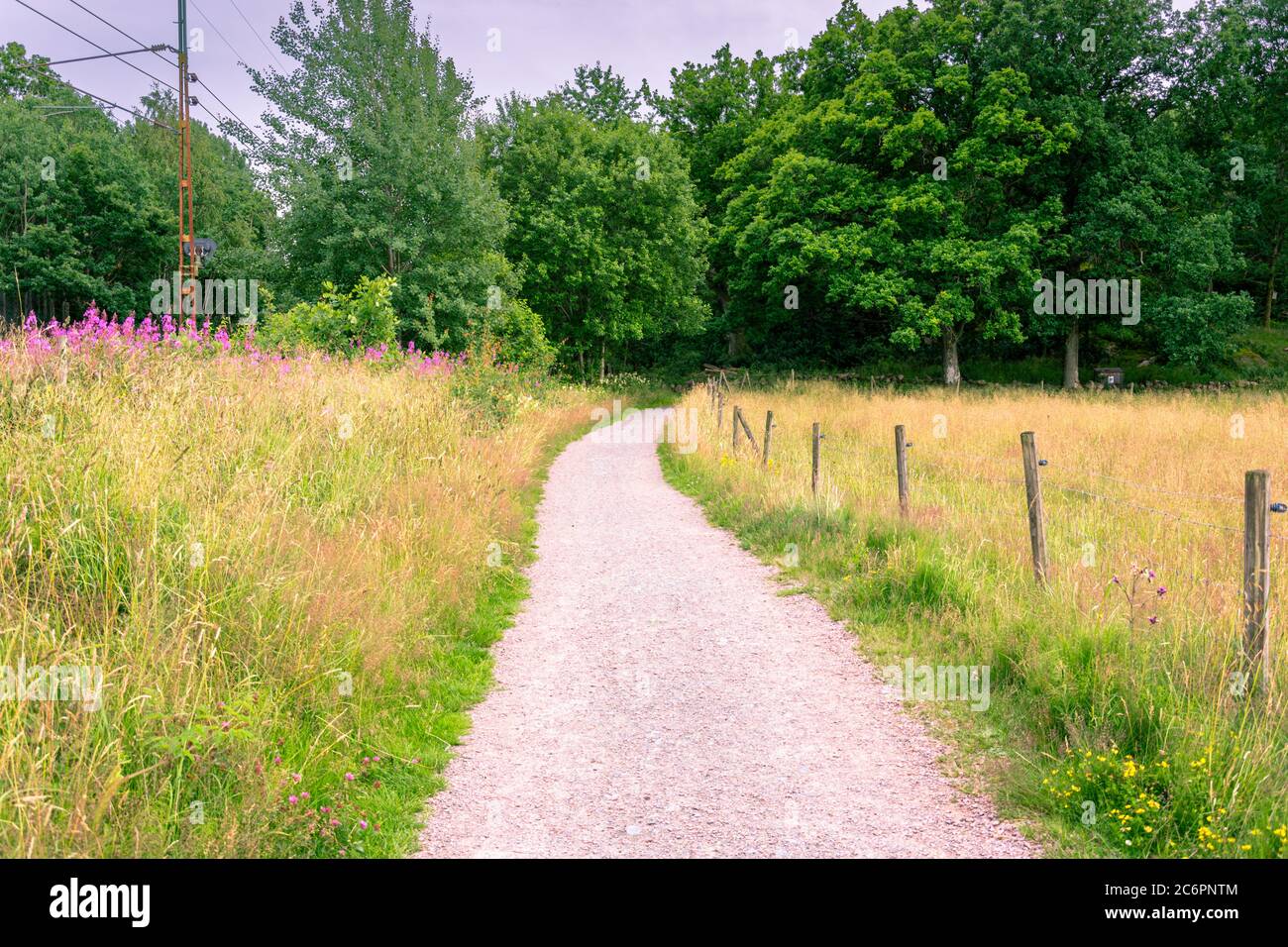 Wildflower pathway hi-res stock photography and images - Alamy