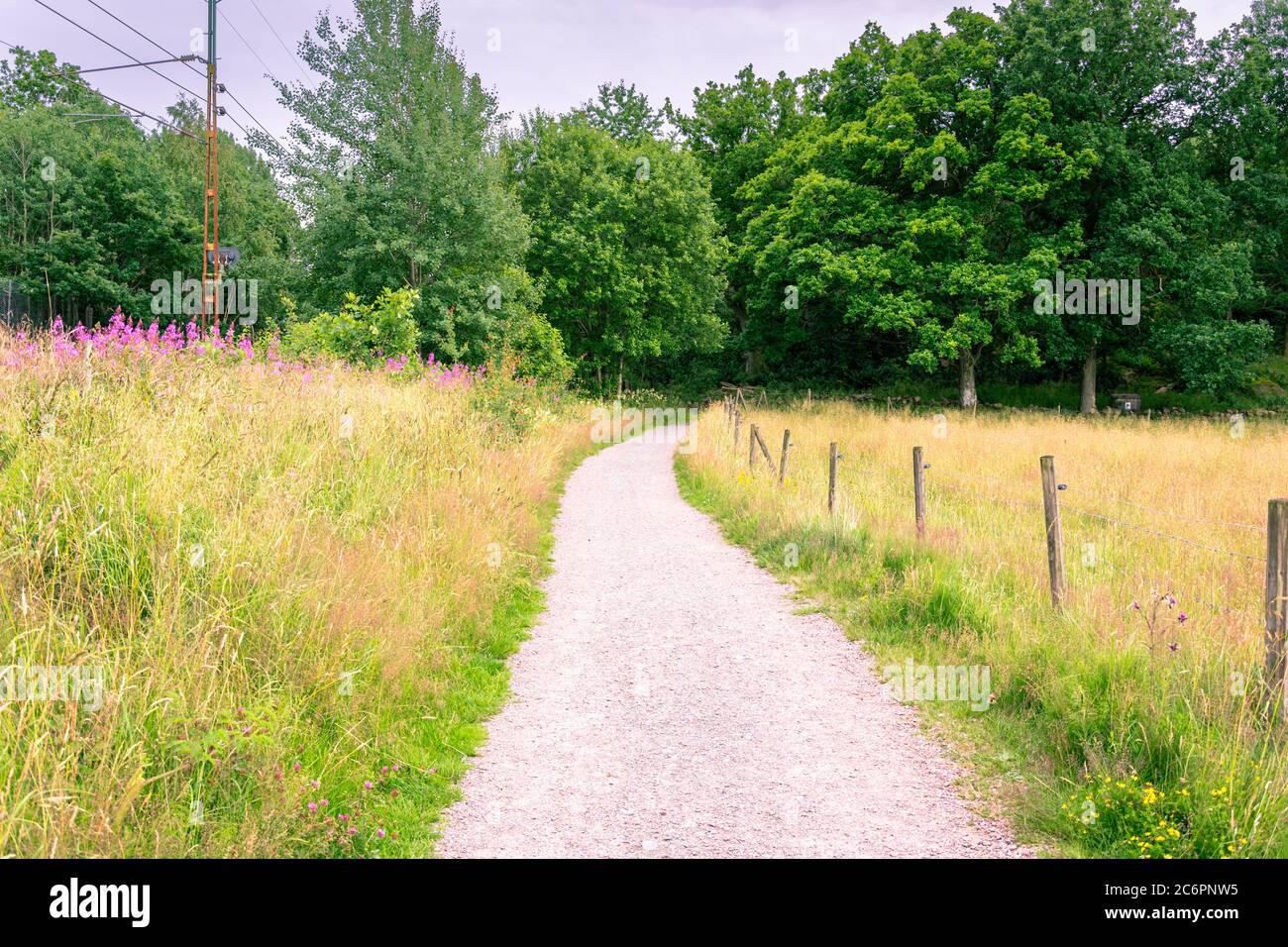 Horizontal composition of pathway with green grass and wooden fence in ...