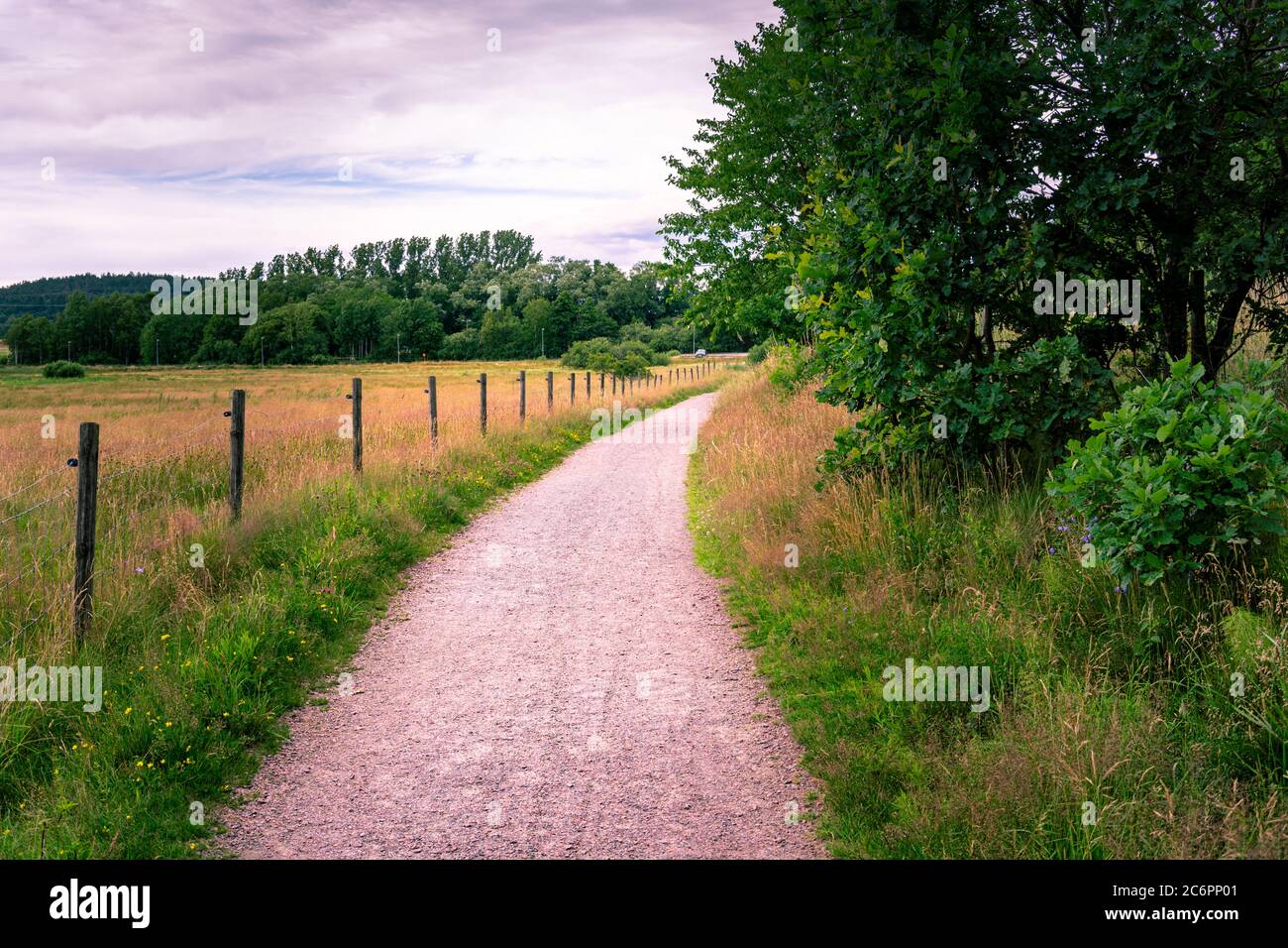 Horizontal composition of pathway with green grass and wooden fence in ...