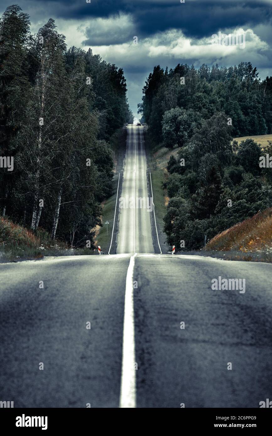 Tree black silhouettes and white snow. Street view through old forest ...