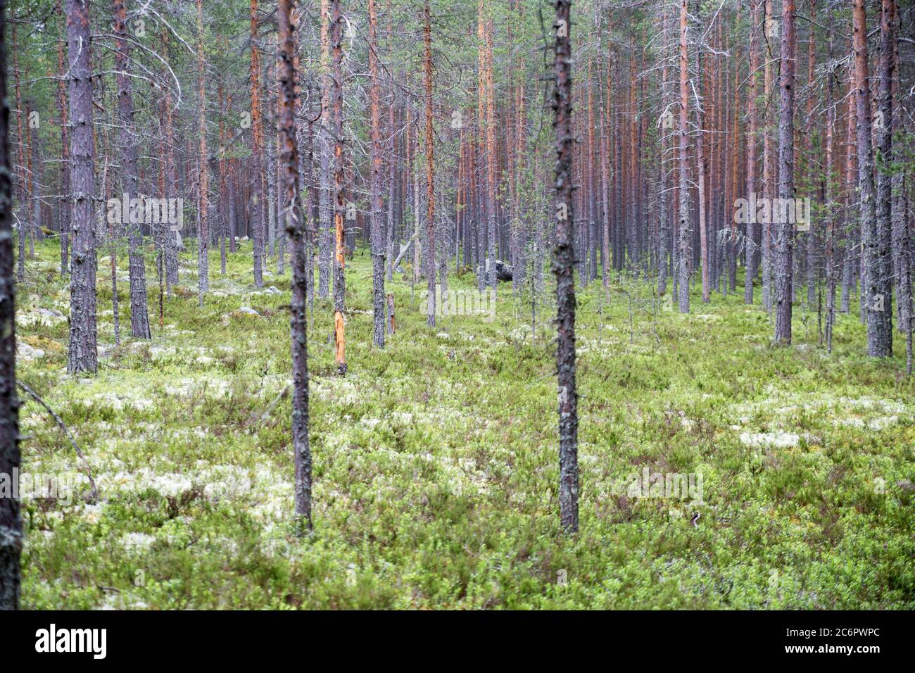 Middle point hi-res stock photography and images - Alamy