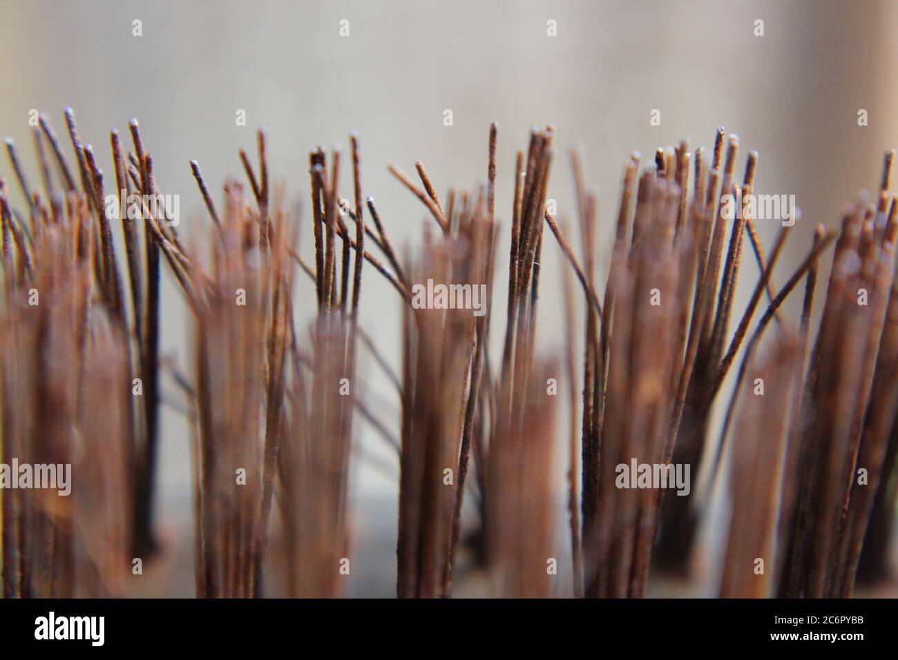 Very common rusted and weather beaten brush bristles standing up to the ...