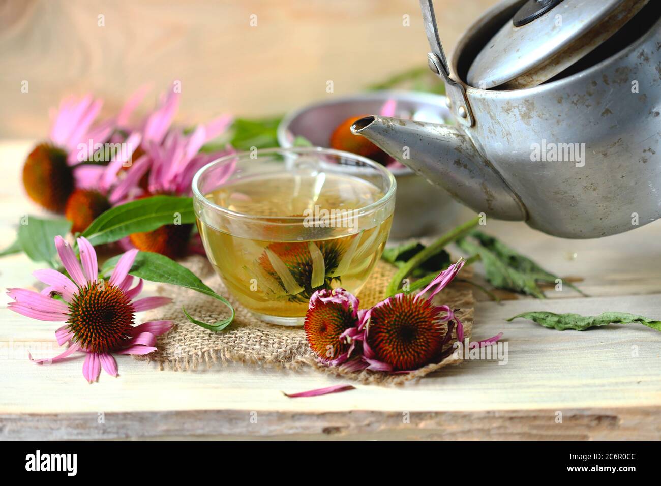 Tea is pouring from the kettle. Echinacea tea. Echinacea flowers Stock ...