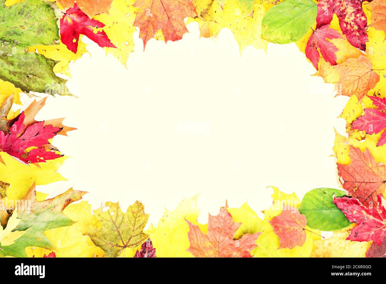 Leaves fall frame Stock Photo - Alamy