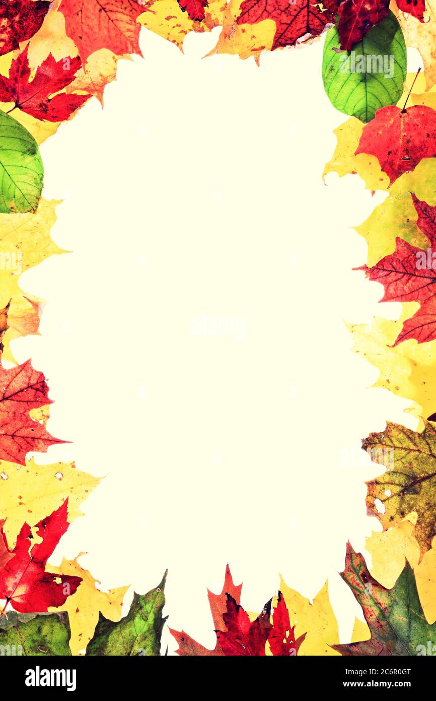 Autumn leaves frame Stock Photo - Alamy
