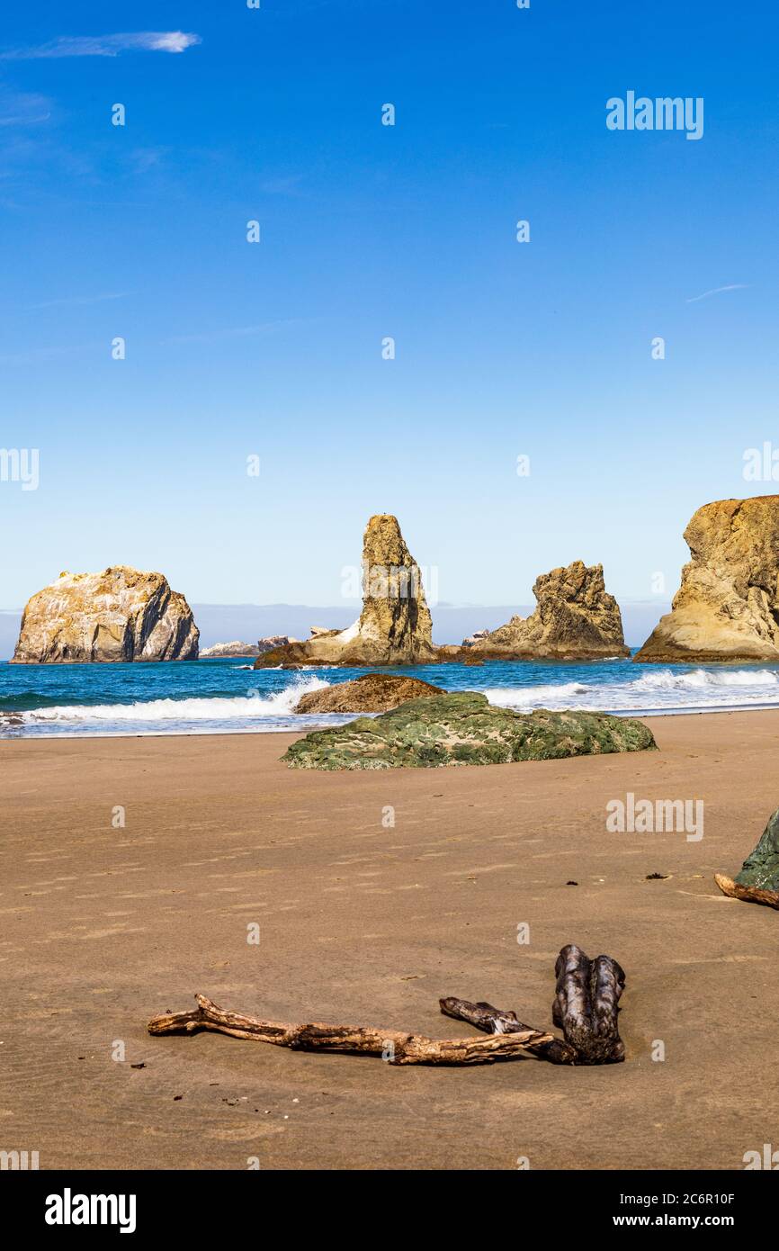 Vertical Image - Driftwood and sea stacks on Bandon Beach in Oregon ...