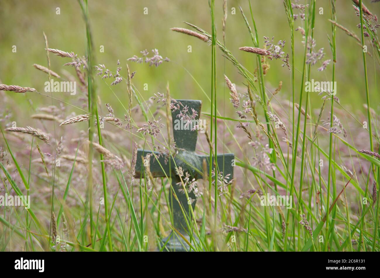 Poza cu cruce hi-res stock photography and images - Alamy