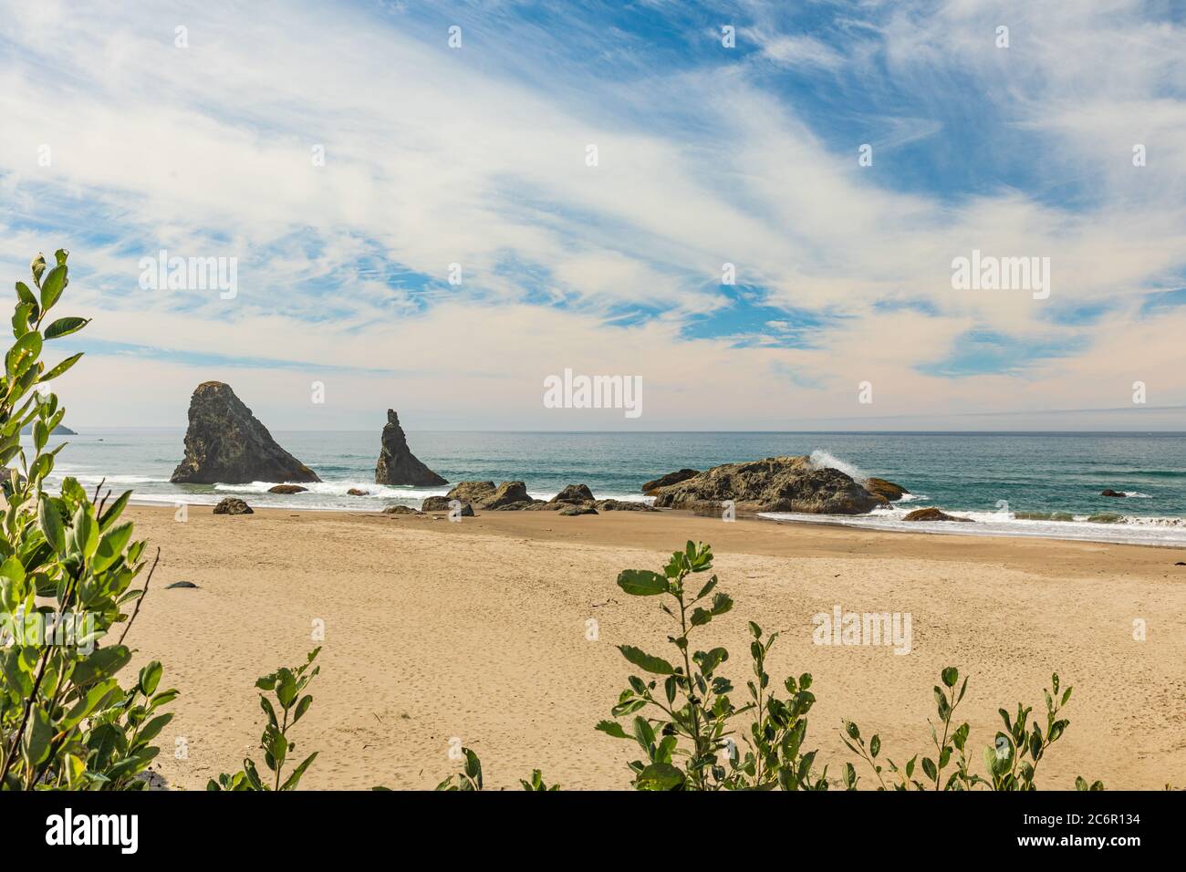 Greenery frames view of Needle Rock and sea stacks on Bandon Beach in ...