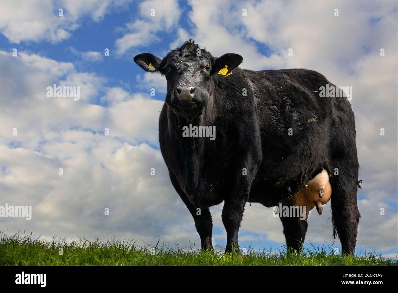 Staring at sky hi-res stock photography and images - Alamy