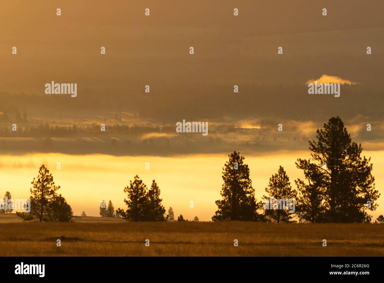 Ukiah valley fog, Umatilla National Forest, Blue Mountain National ...