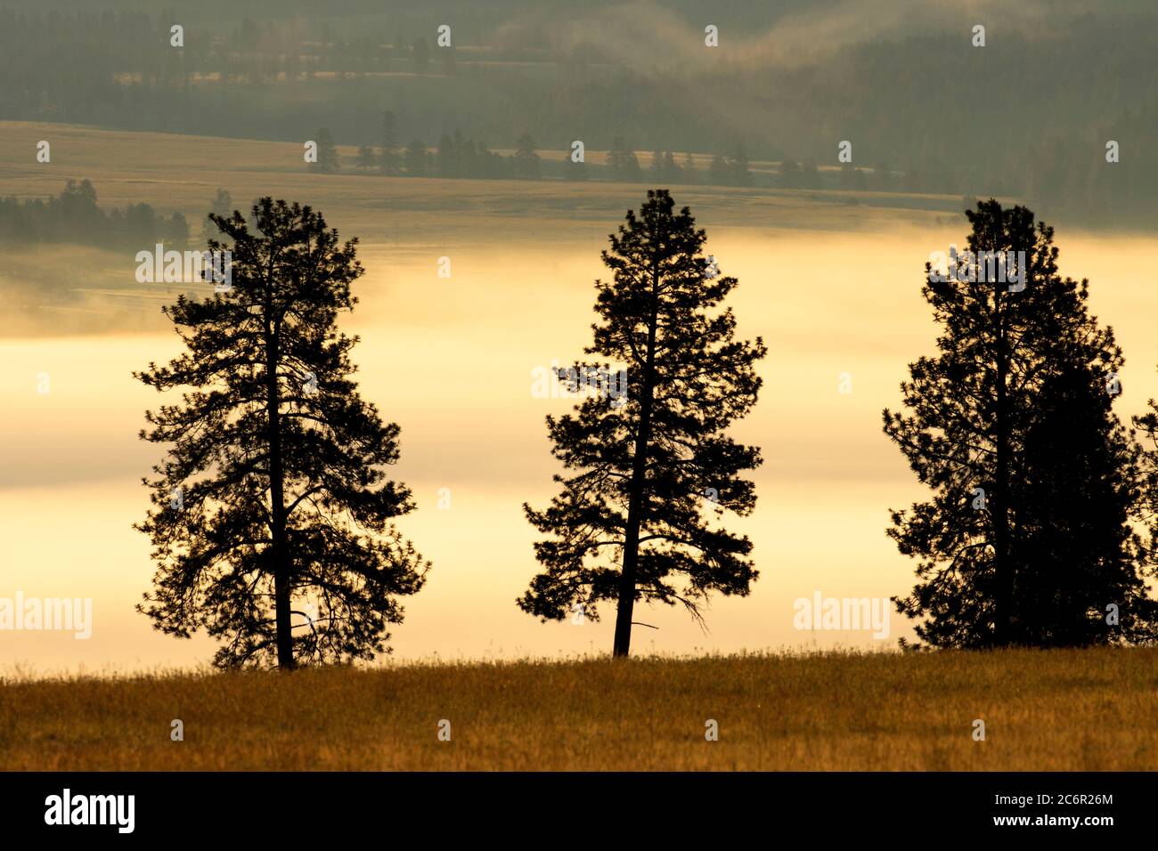 Ukiah valley fog, Umatilla National Forest, Blue Mountain National ...