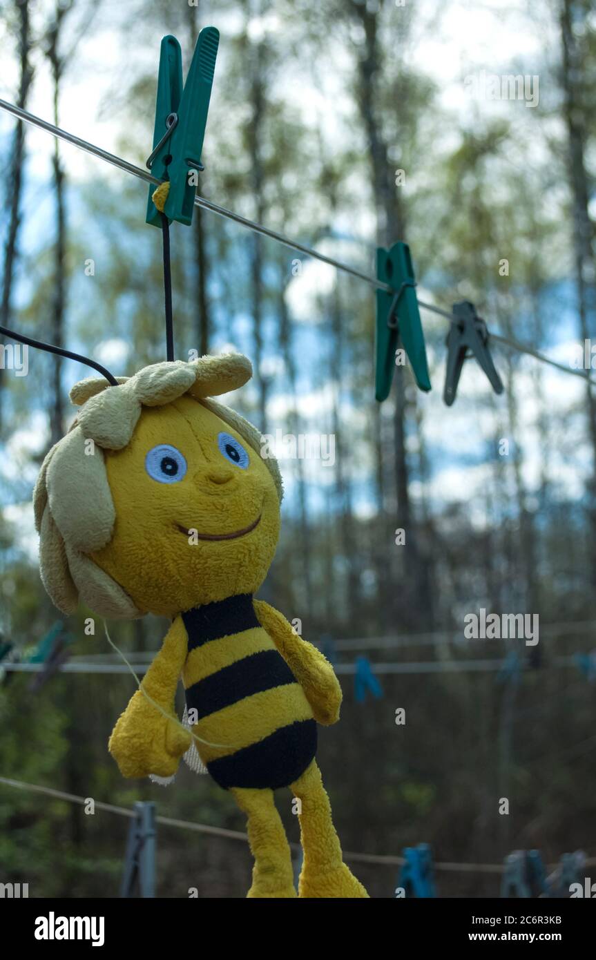 Children's toy after washing. The toy bee hangs on a string attached ...