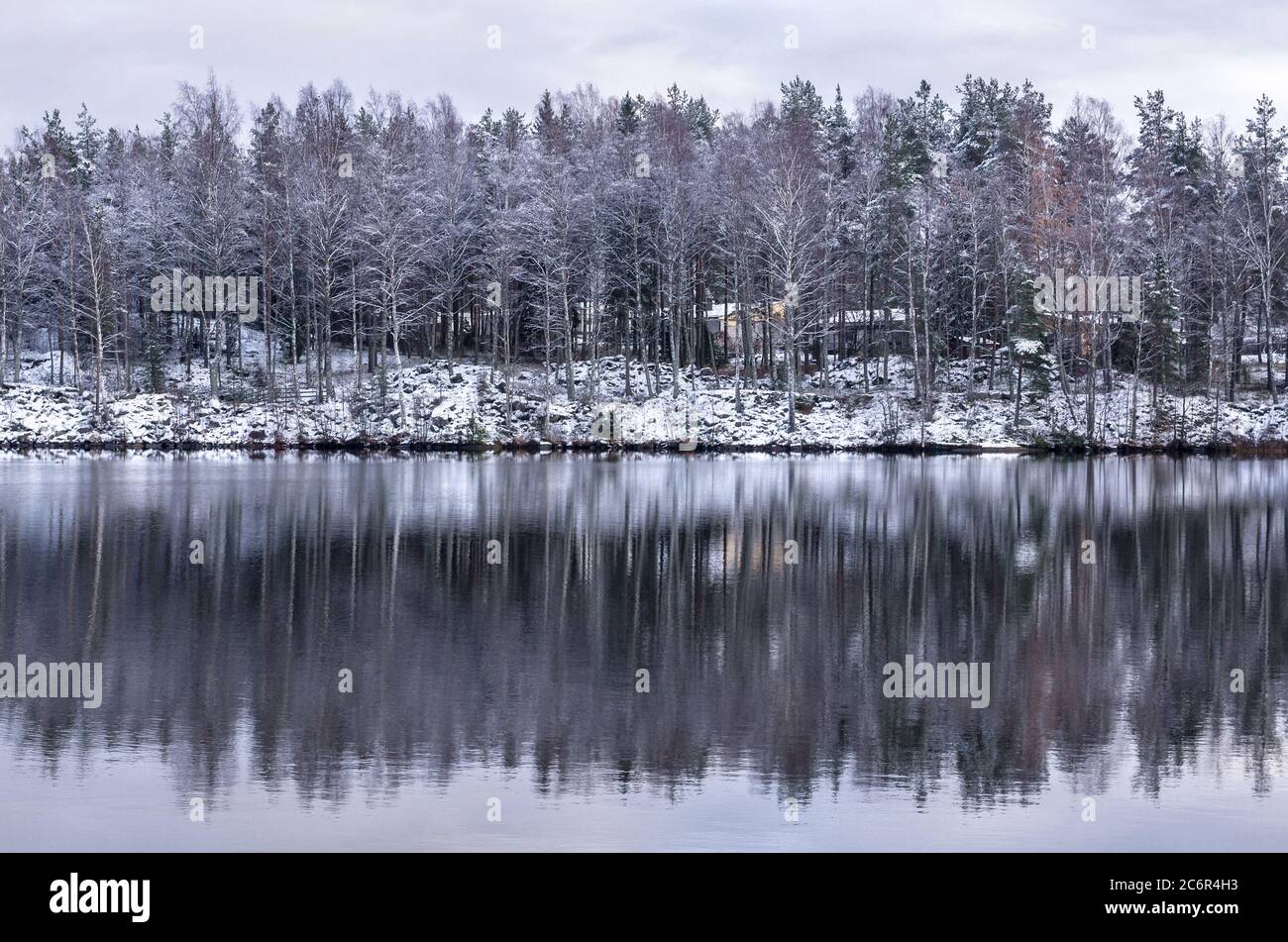 Late autumn landscape with trees reflecting in a lake. Moody seasonal ...