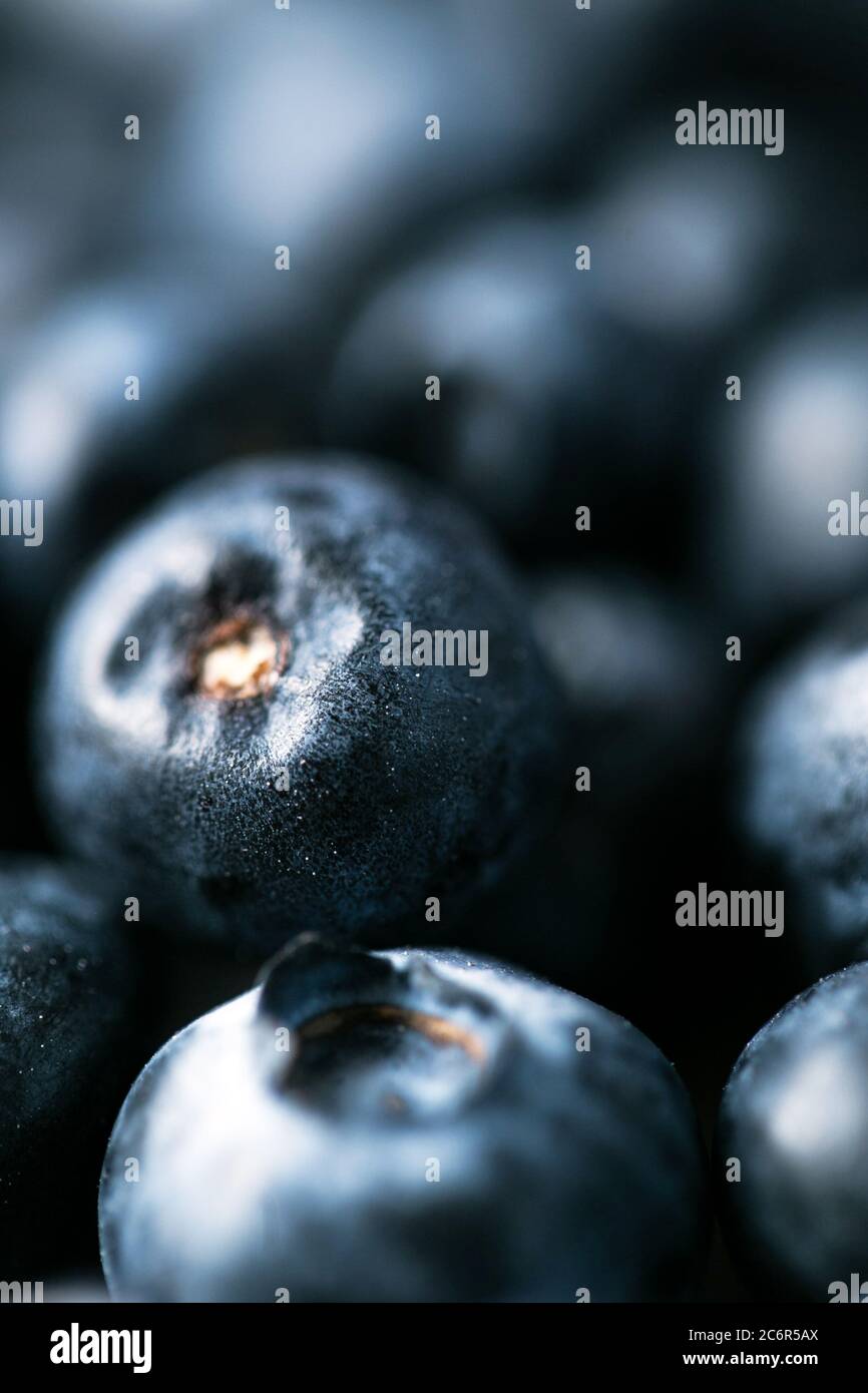Beautiful blueberry close up background with deep shadows Stock Photo ...
