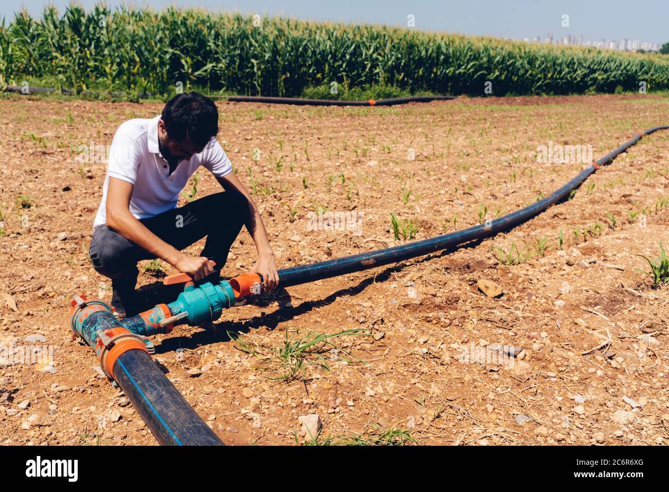 Irrigation system. Water saving irrigation system being used in a young ...