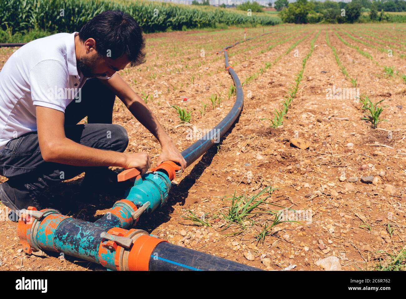 Irrigation system. Water saving irrigation system being used in a young ...