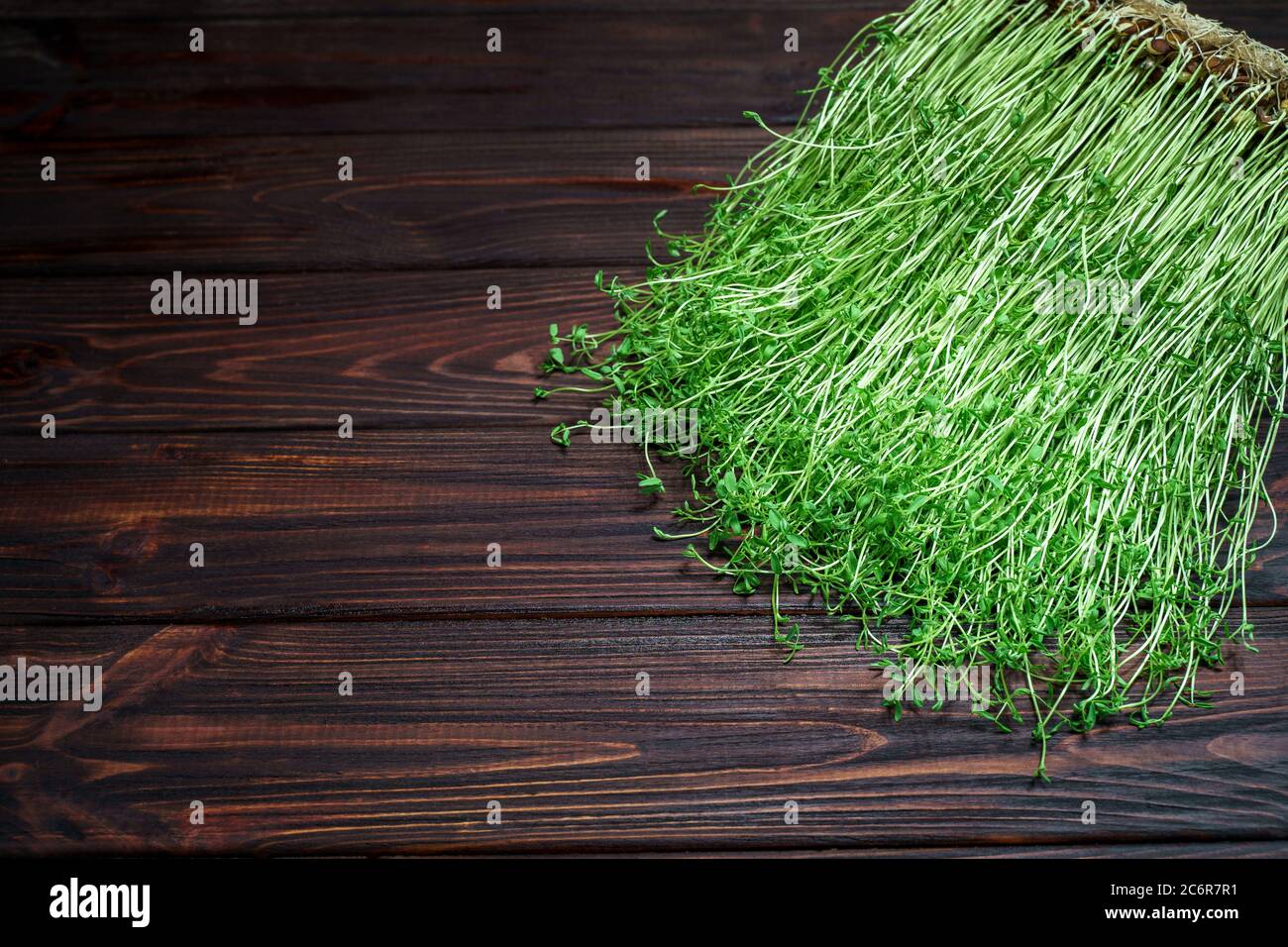 Clover sprouts on wood table background. Sprouted vegetable seeds for ...