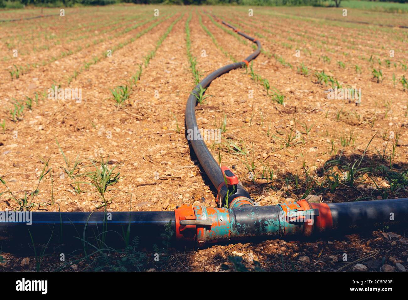 Water is pumped from a ground well, and distributed to irrigation ...