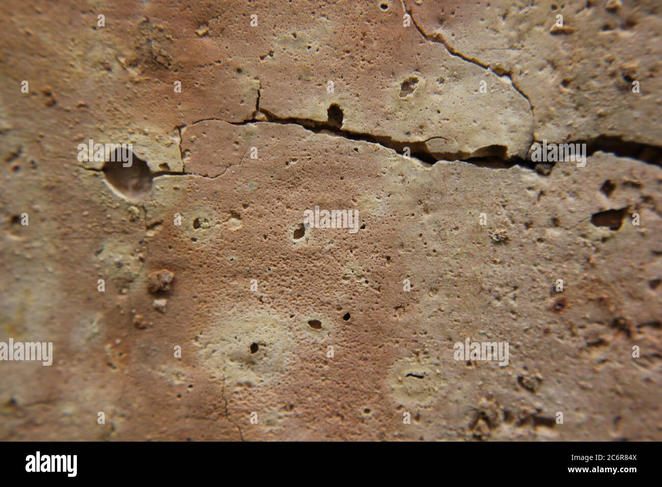 Very common backyard brick, apricot color Stock Photo - Alamy