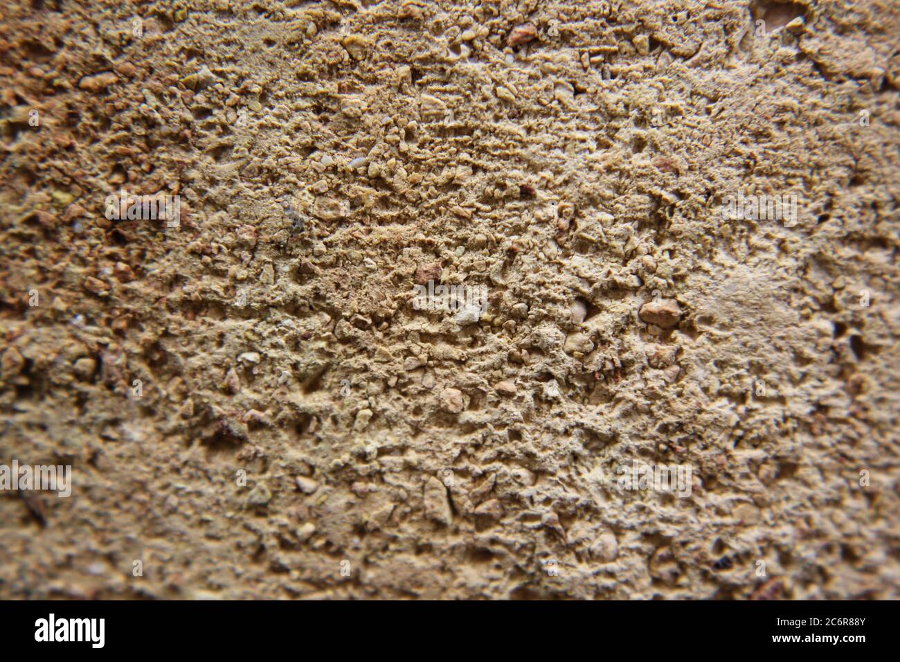 Very common backyard brick, apricot color Stock Photo - Alamy